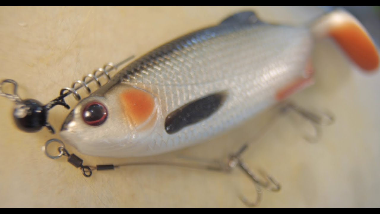 WESTIN RICKY THE ROACH 18cm / WESTIN SHAD TEEZ 19cm | how to rig - YouTube