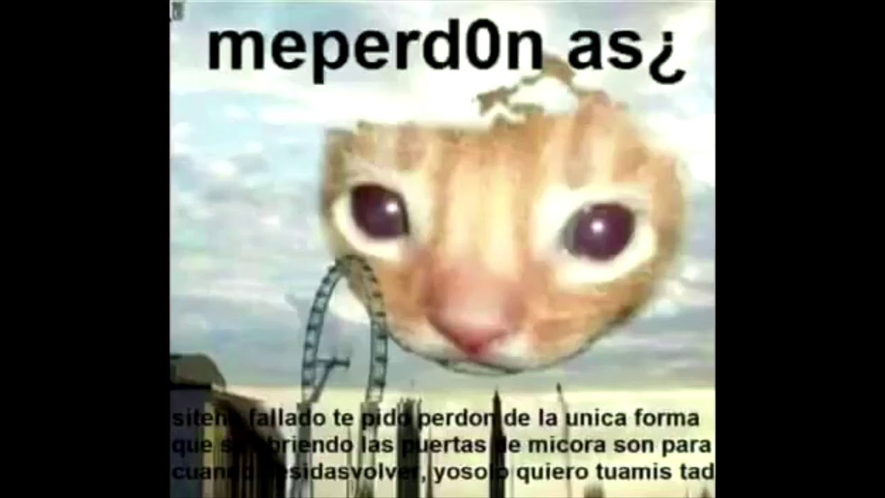 meper meper donas - YouTube