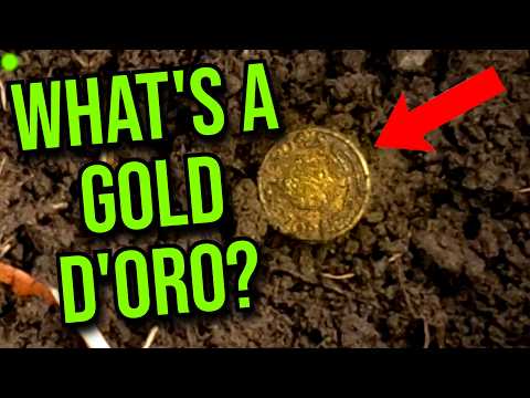 FOUND BLACK SILVER + GOLD COIN to good to be true..