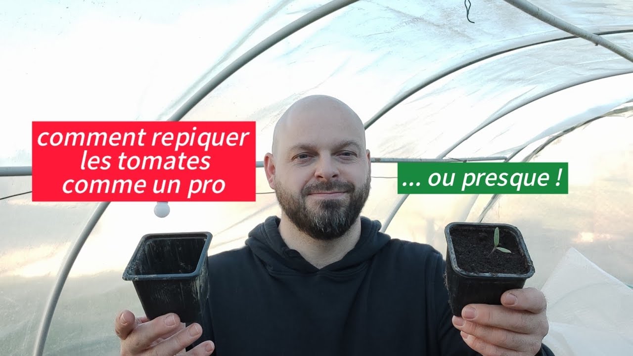 Comment repiquer les tomates comme un pro... Ou presque! - YouTube