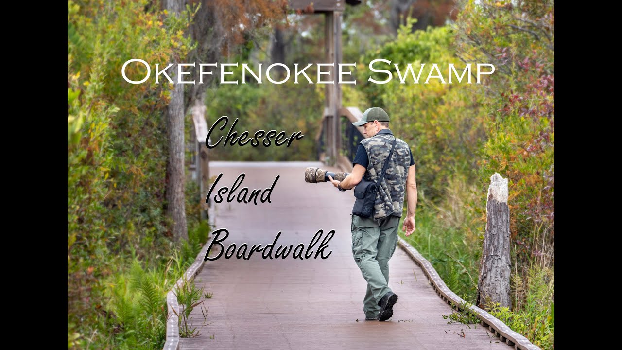 Okefenokee Swamp, Chesser Island Boardwalk Trail - YouTube