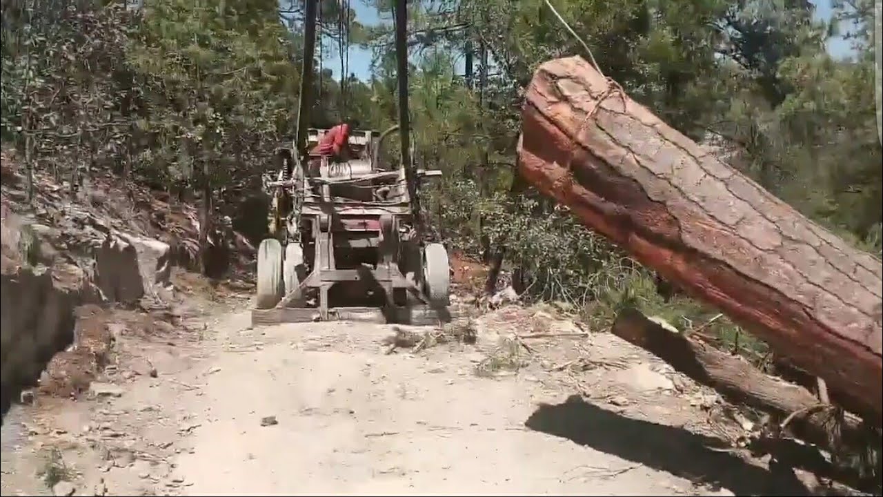 Asi se hace la extracción forestal en la sierra - YouTube