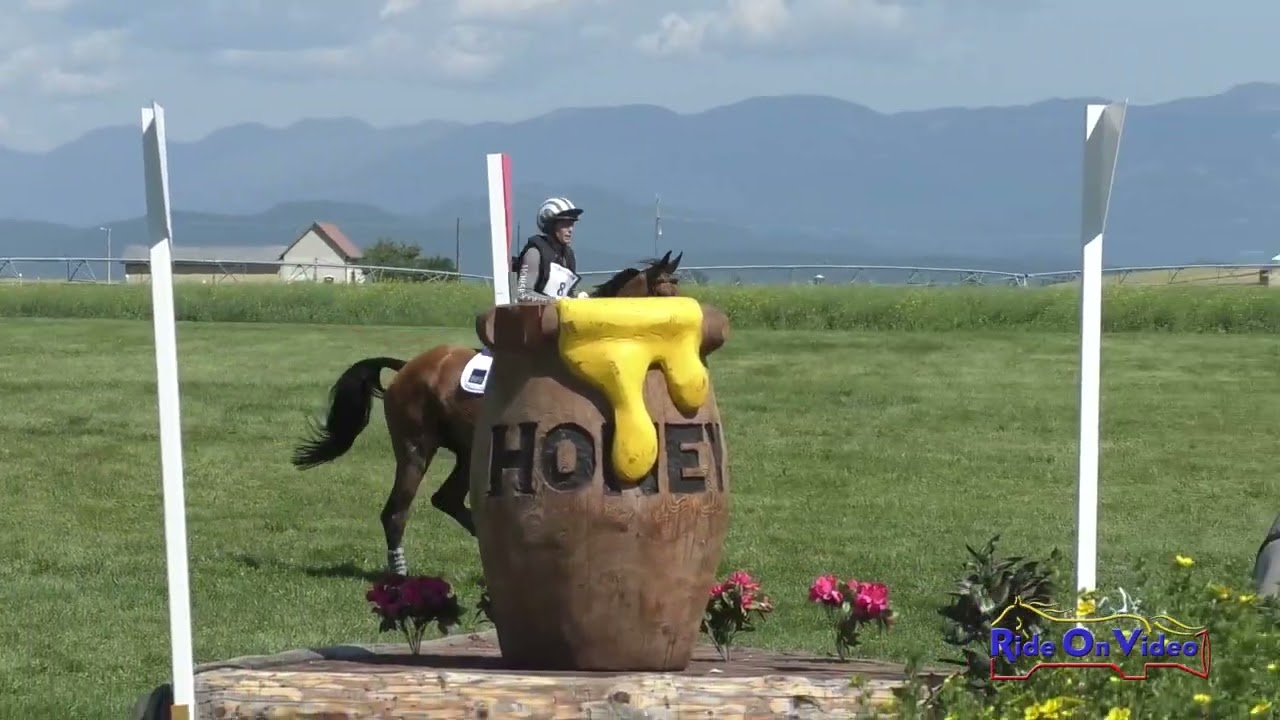 008XC Lucienne Bellissimo on Atlantic Vital Spark CCI4* Long Cross ...