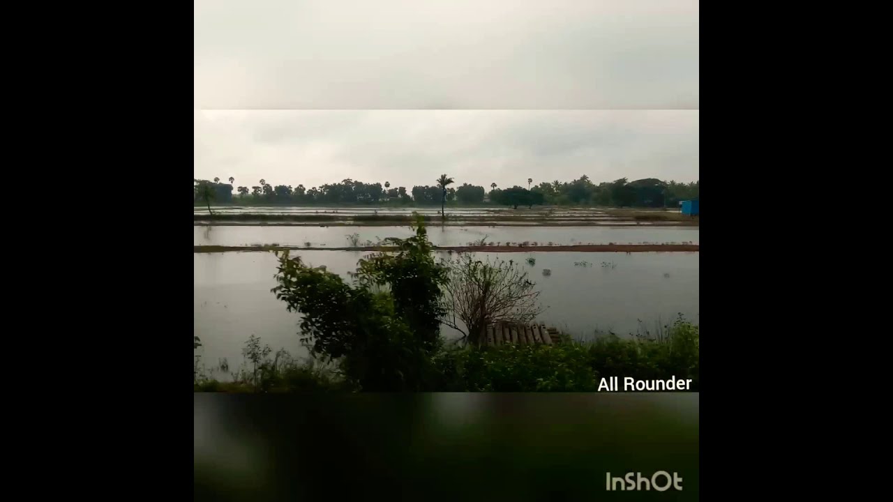 Delta || Beauty of Nature & Agriculture || Cauvery River || Thiruvarur ...