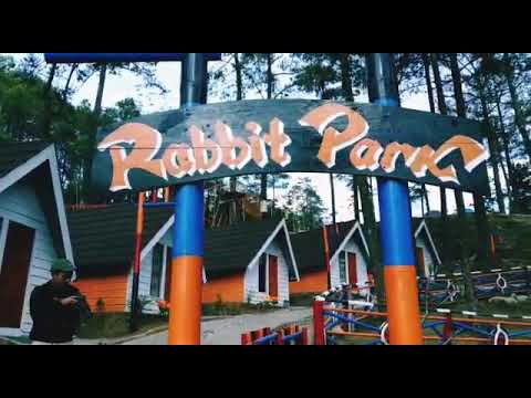 RABBIT PARK - YouTube
