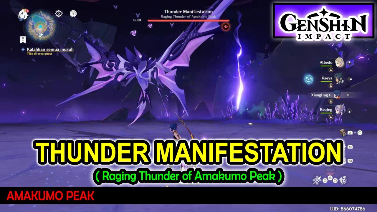 Genshin Impact | Bos Normal : Thunder Manifestation - YouTube