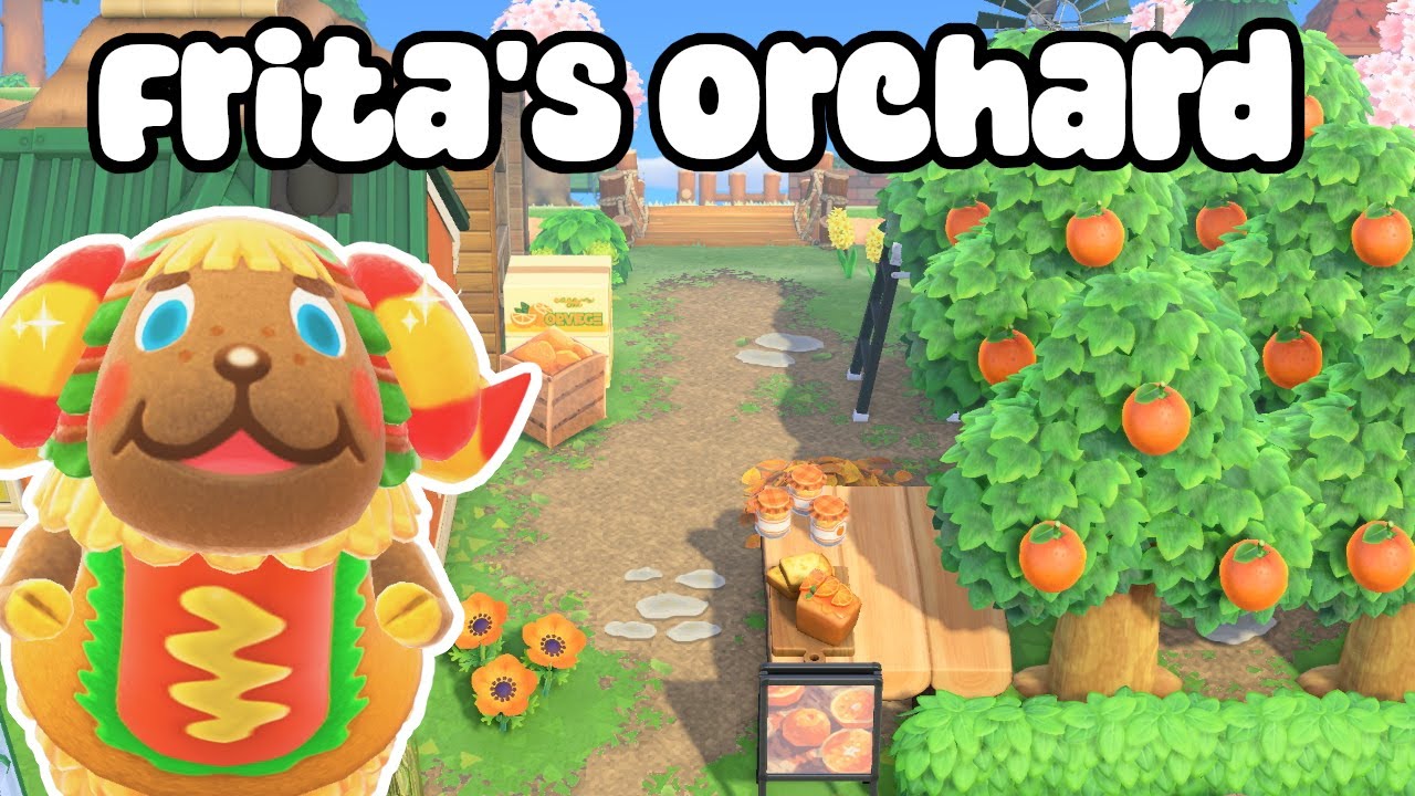 Frita's Orange Orchard Build. Ewetopia: Animal Crossing New Horizons ...