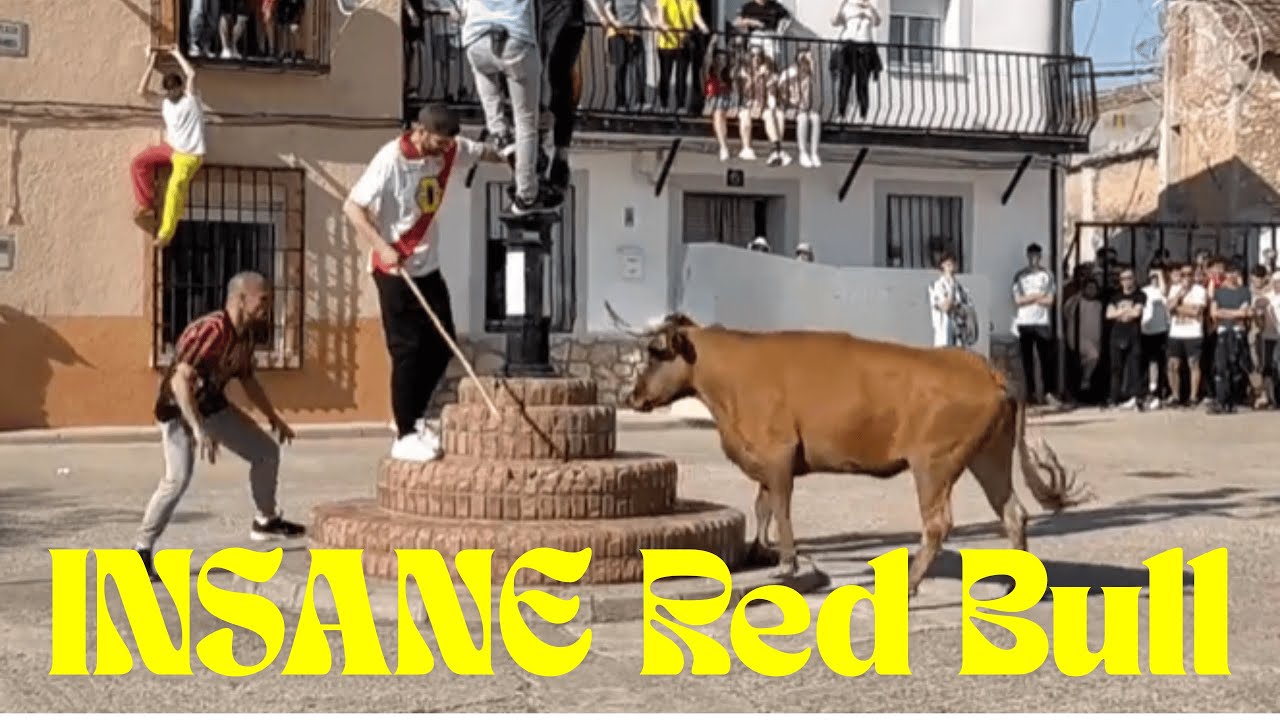 Brave Bull Acrobatics | Stunning Bull Leaps and Dodges - YouTube