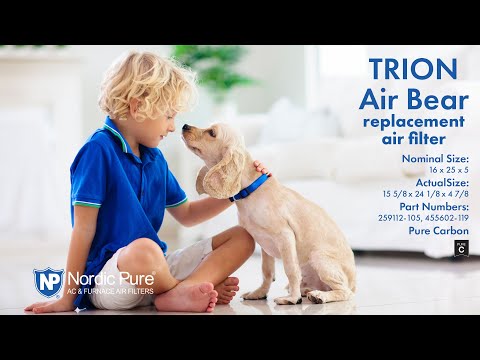 16x25x5 Air Bear Compatible Air Filters | Nordic Pure: Pure Carbon Replacement Air Filters