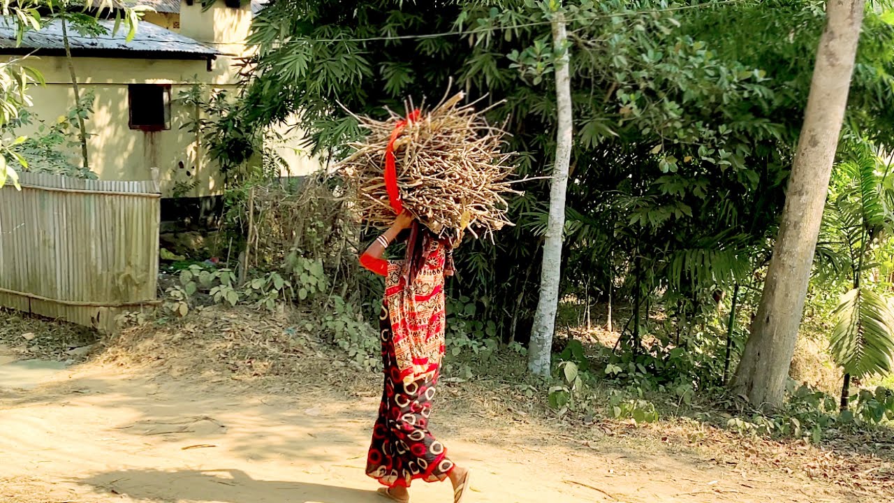 Bangladeshi Village life | Rural Village life in Bangladesh - YouTube