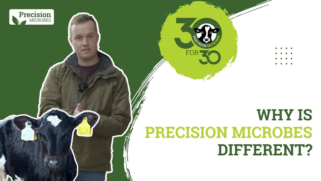 Why Is Precision Microbes Probiotic & Postbiotic for Calves Different ...