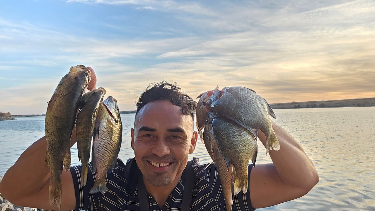 "¡Increíble Pesca de Mojarras! Desde la Caña al Sabor en el Plato - YouTube