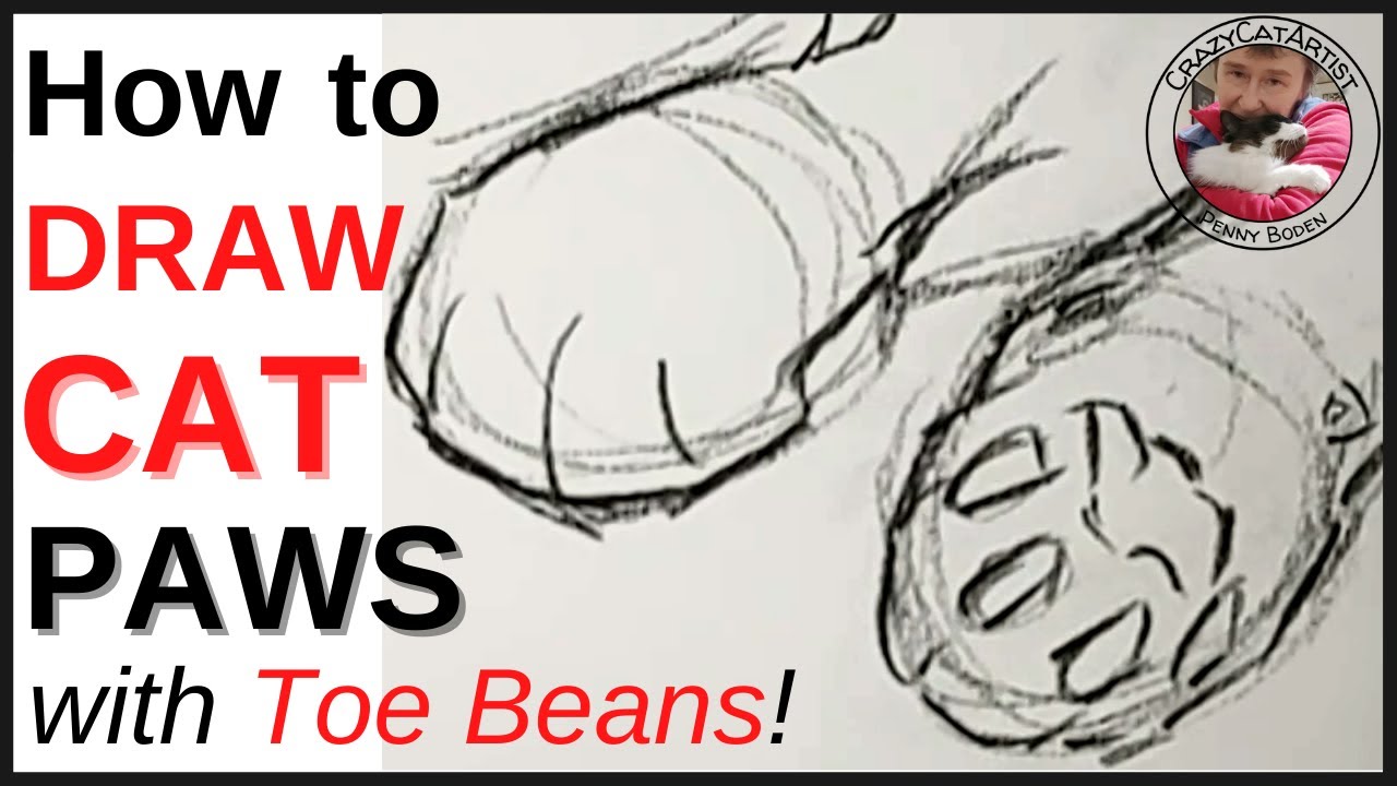 How to Draw Cat Paws with Toe Beans- simple method kitty sketch ...