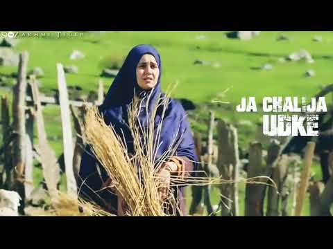 Salman Khan bajrangi bhaijaan movie WhatsApp song