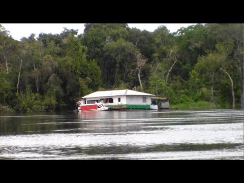 Em um flutuante na entrada do Lago do Mucura, região do médio rio Tefé ...