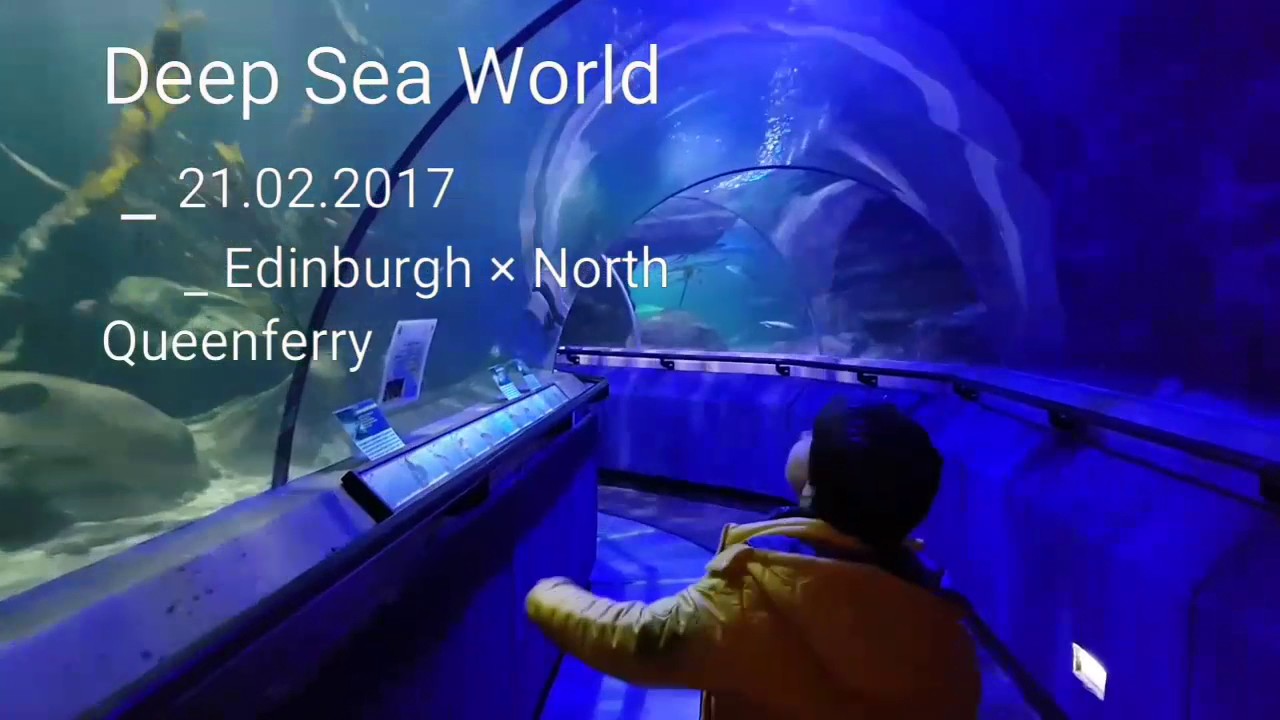 HD. DEEP SEA WORLD. EDINBURGH. "Walking" with the sharks - YouTube