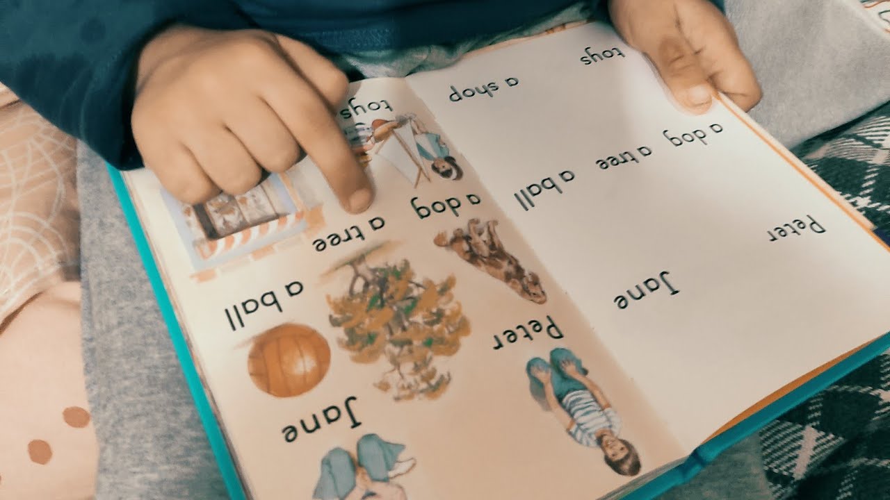 Best Interactive Reading Books for 3 year-old| Can a child read at age ...