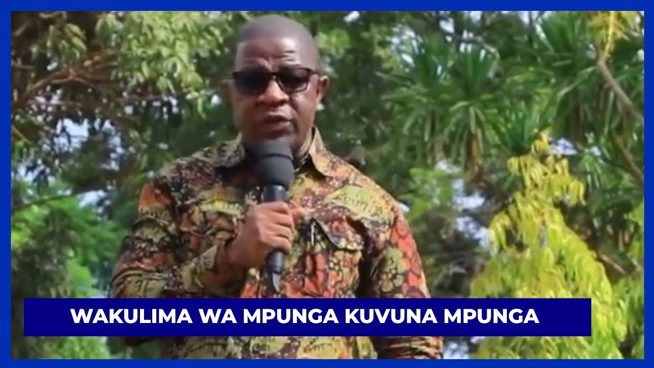 WAKULIMA WA MPUNGA KUVUNA MPUNGA NA SAMAKI KWA PAMOJA - ULEGA - YouTube
