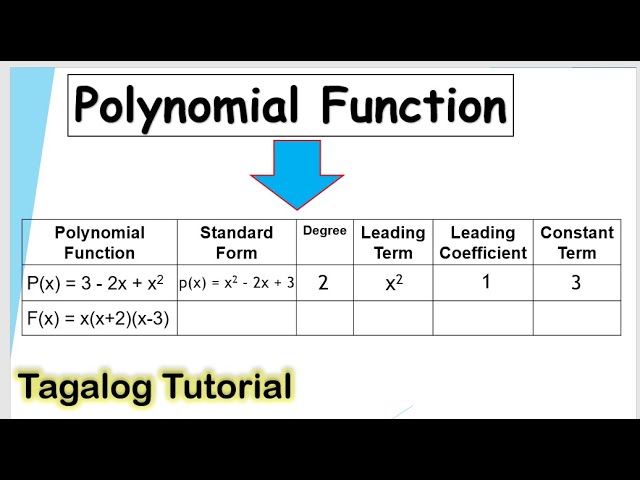 What Is A Polynomial Function