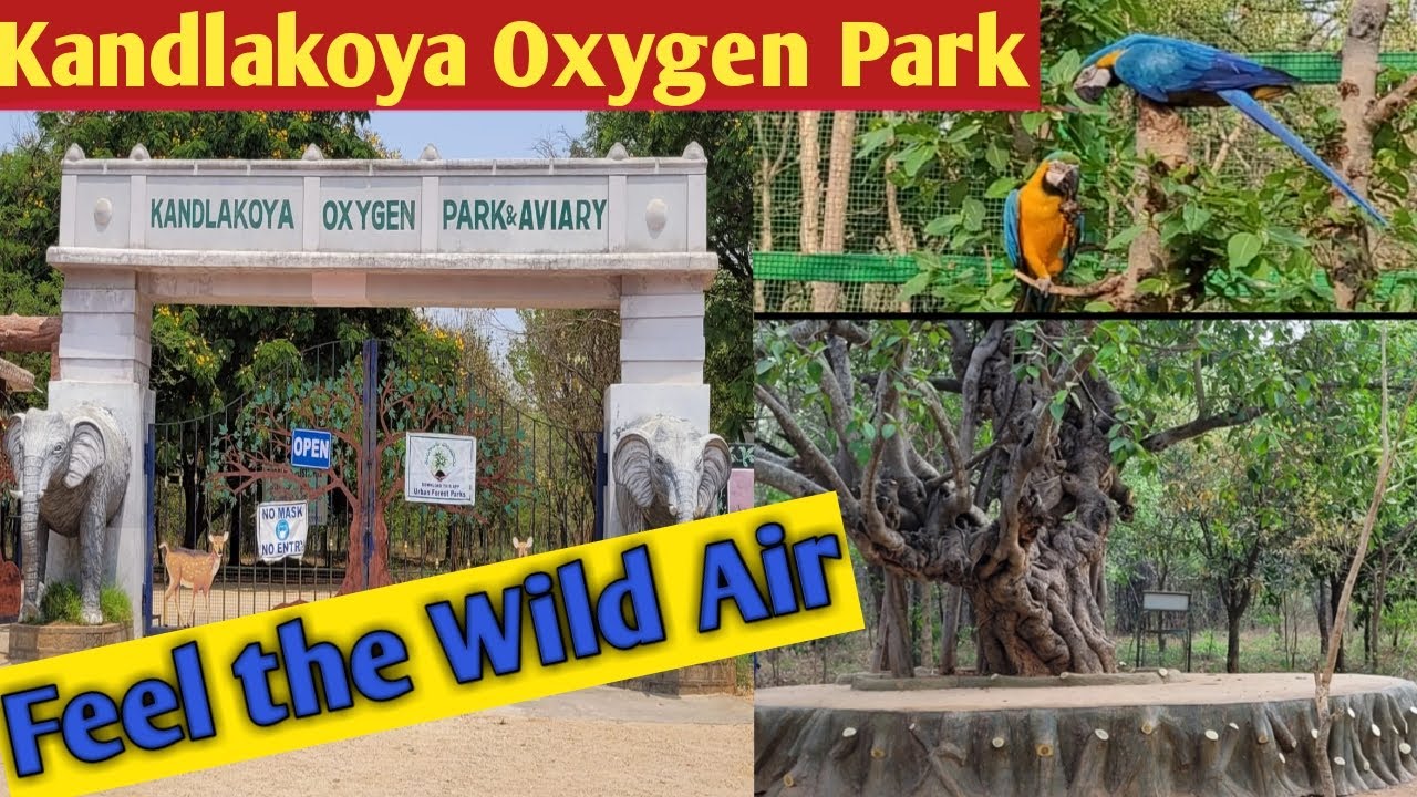 Kandlakoya Oxygen Park Hyderabad| |tourist places in Hyderabad| places ...