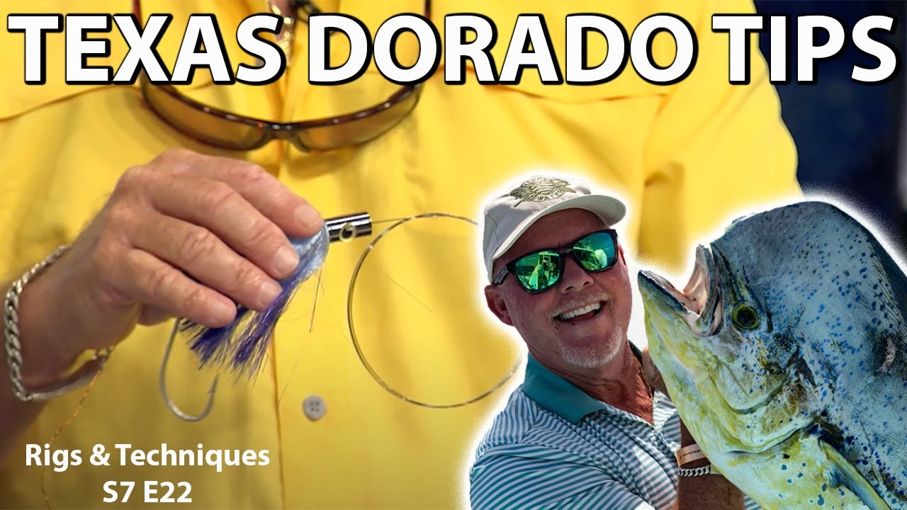 The Best DORADO Tips in TEXAS | Rigs & Techniques S7 E22 - YouTube