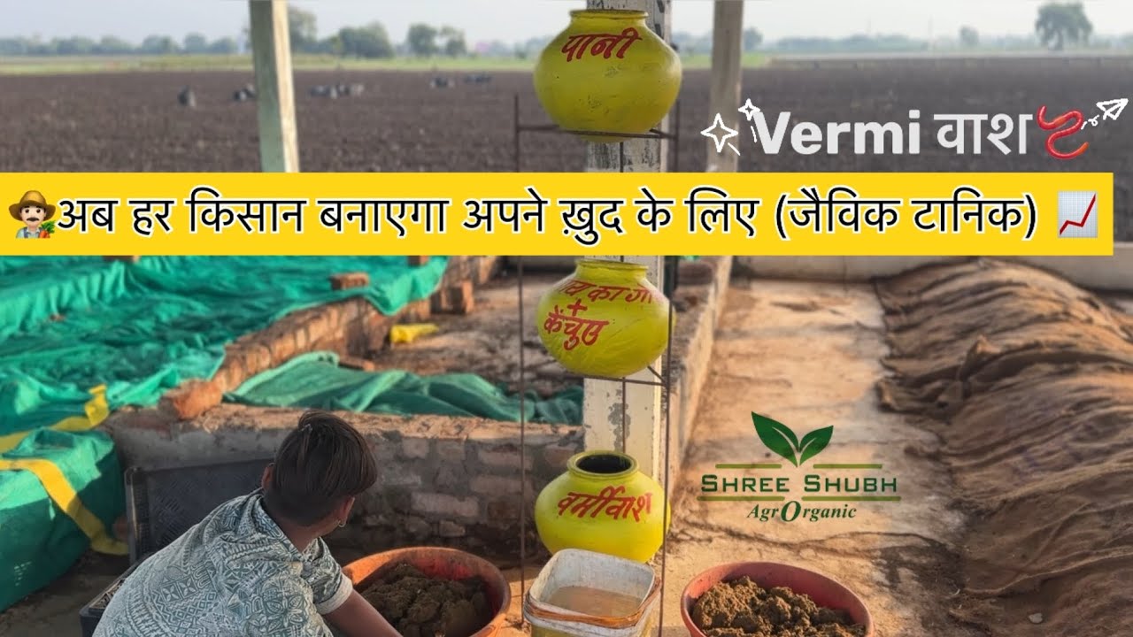 How To Make Vermi Wash ⁉️| जैविक टॉनिक ,All in One - (Plant Growth ...