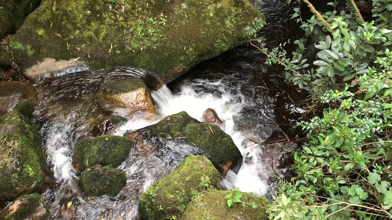 La Chorrera Waterfalls Colombia - Cascadas La Chorrera - YouTube