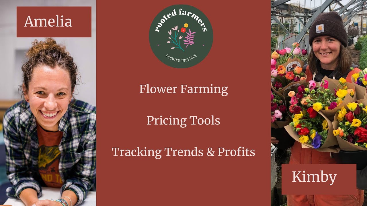 Rooted Farmers Pricing Tools and Growing Flower Trends with Amelia Ihlo ...