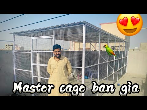 Master cage ban gia😍 - YouTube