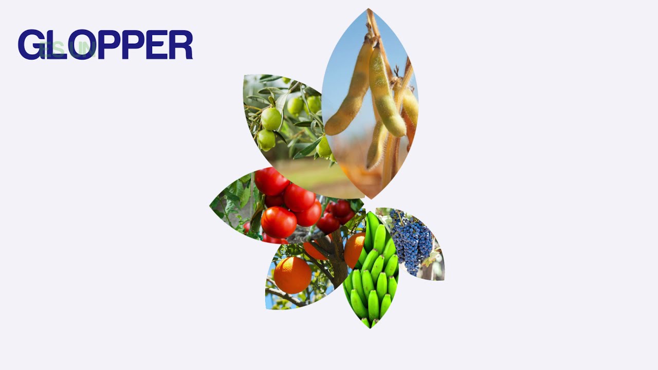 Glopper - Cobre sistémico de máxima asimilación - YouTube