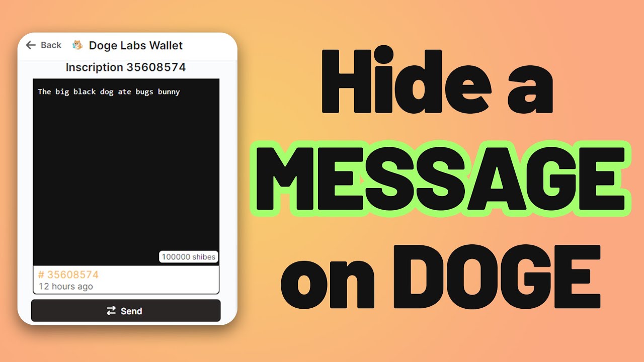HIDE A Message On Dogecoin How To Inscribe Text Via Dogecoin Ordinals hide-a-message-on-dogecoin-how-to-inscribe-text-via-dogecoin-ordinals