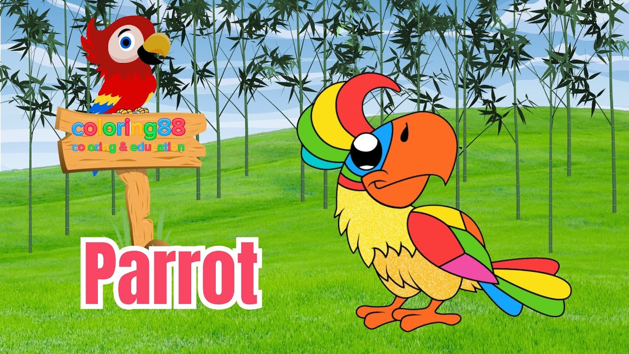 coloring parrots | learn about parrot | education - YouTube