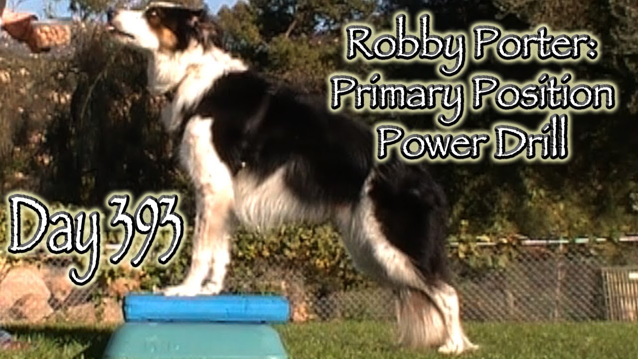 Day 393: Primary Position & Power Drill - Robby Porter Method - YouTube