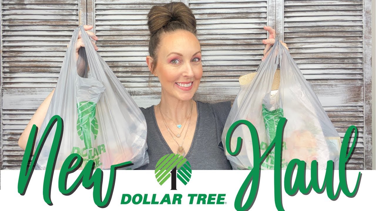 CRAZY NEW DOLLAR TREE FINDS | DOLLAR TREE HAUL | DOLLAR TREE IS ...