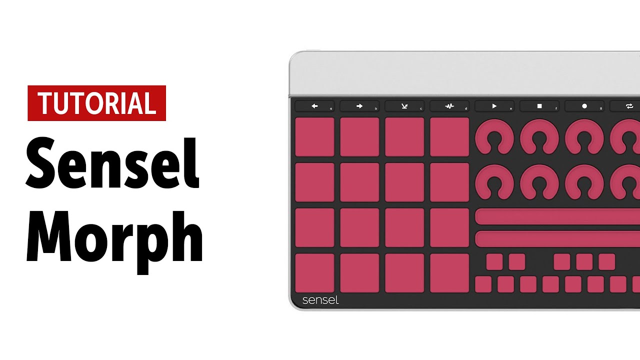 Sensel Morph Portable MPE MIDI Controller - Tutorial and Demo - YouTube