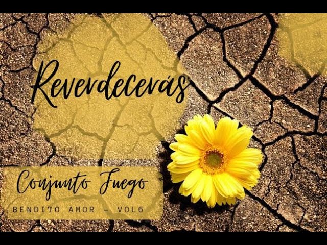 Reverdecerás - Conjunto Fuego - @RokaRecord Chords - Chordify