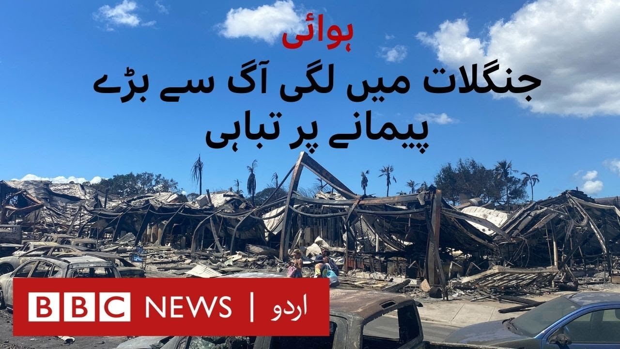 Hawaii Drone Footage Shows Mass Devastation In Maui BBC URDU YouTube hawaii-drone-footage-shows-mass-devastation-in-maui-bbc-urdu-youtube