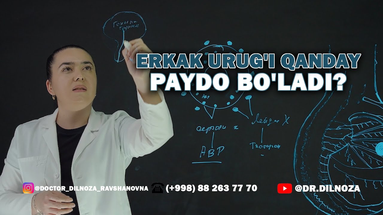 Erkak urug'i qanday paydo bo'ladi? - YouTube