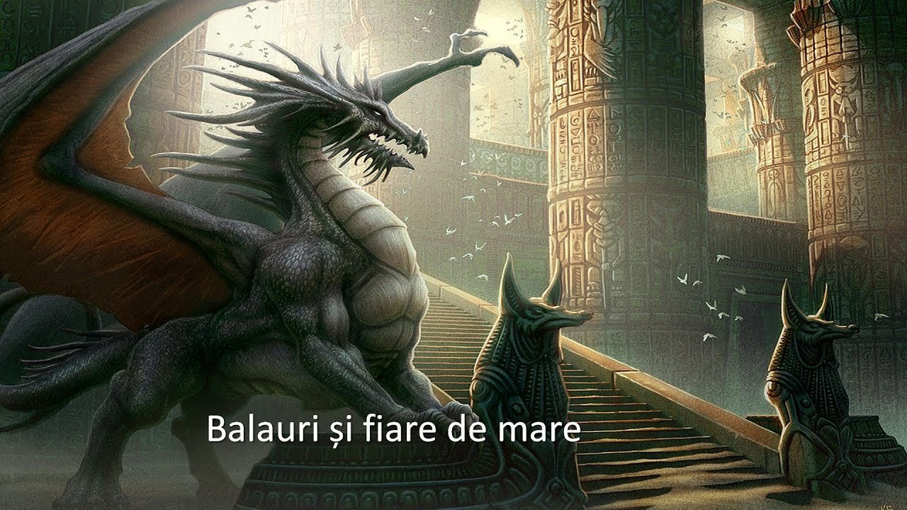 Balauri și fiare de mare - YouTube