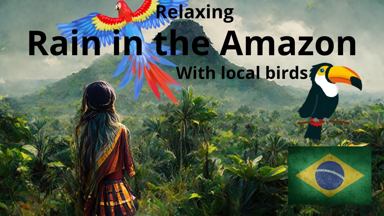Sleep with Indigenous Lullabies, Local Birds and relaxing Rainforest ...