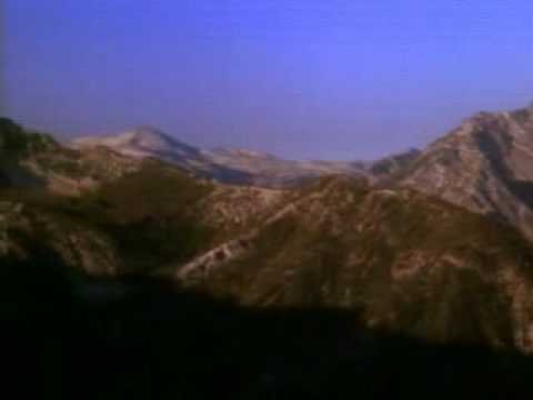 NURETTİN DADALOĞLU   '' Celal Oğlan ''