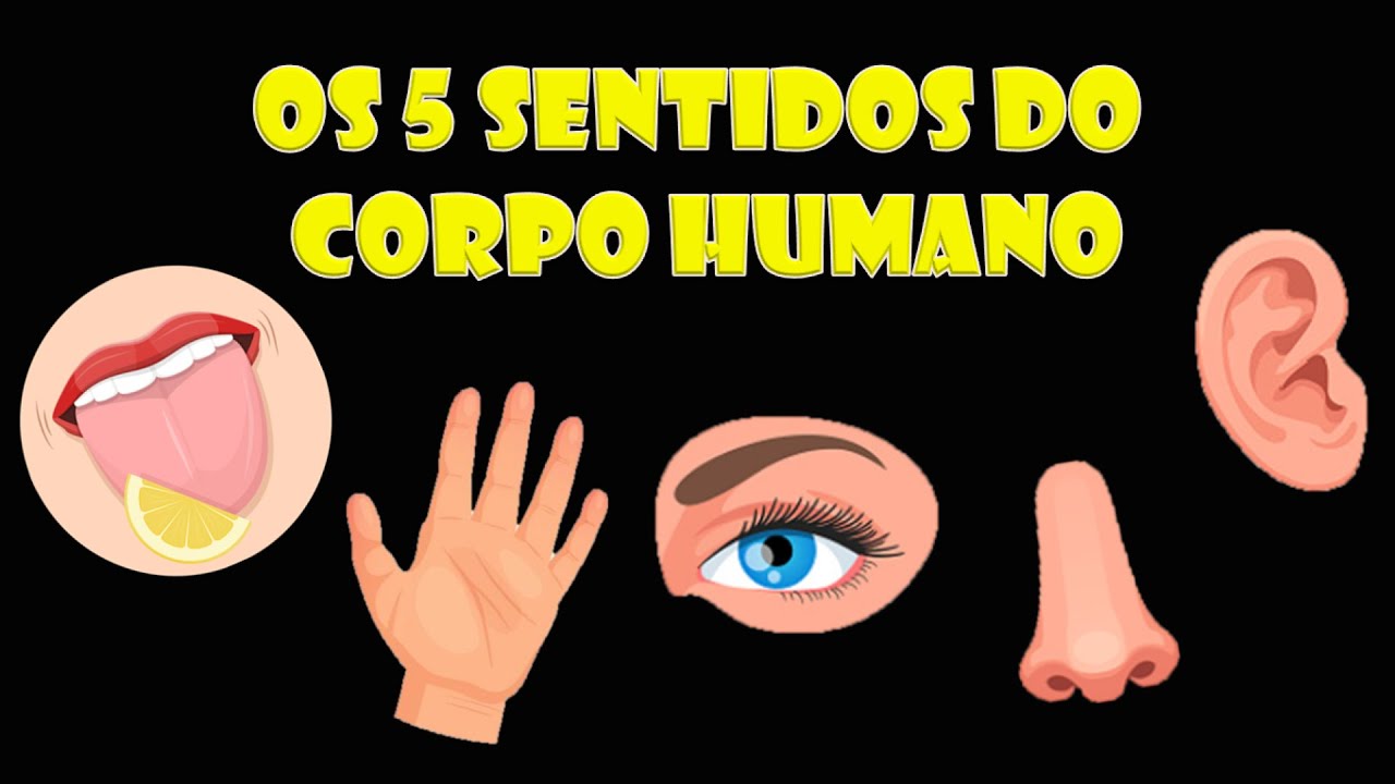 Os cinco sentidos - Visão, Audição, Olfato, Paladar e Tato - YouTube