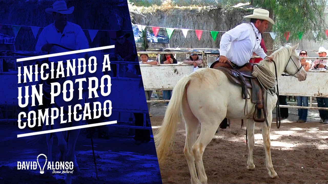 Iniciando a un potro complicado - YouTube