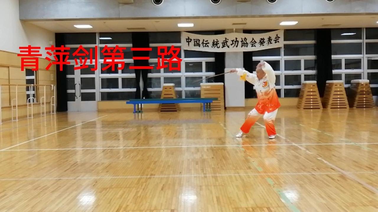 刘品正老师青萍剑第三路Master Liu Pinzheng's Qingping Sword Third Routin /劉品正先生の青萍剣 ...