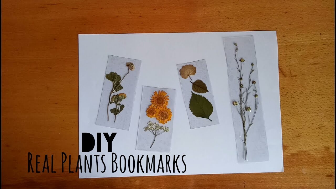 DIY: Transparent Real Pressed Plants Bookmarks | My Crafting World ...
