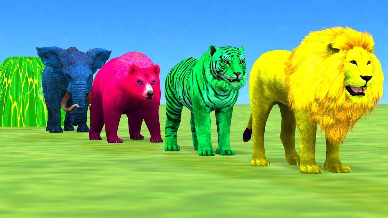Long Slide Game With Elephant Gorilla Buffalo Hippopotamus Tiger - 3d ...