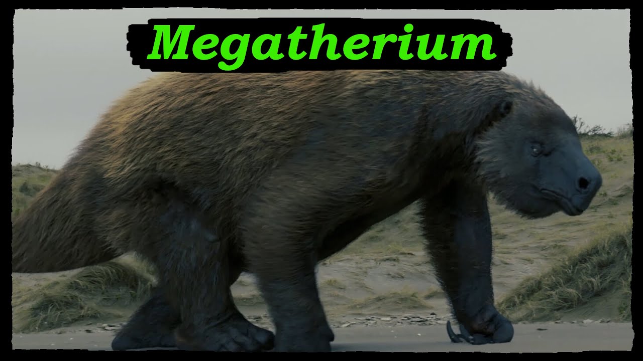 Megatherium: the Giant Ground Sloth - YouTube