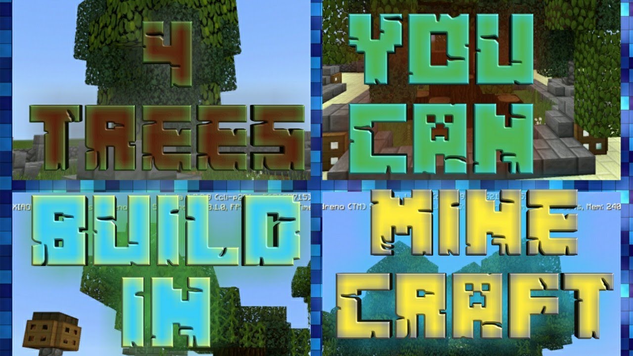 Top 4 loại cây từ gỗ vân sam và 4 kiến thức về cây mà bạn nên biết ...