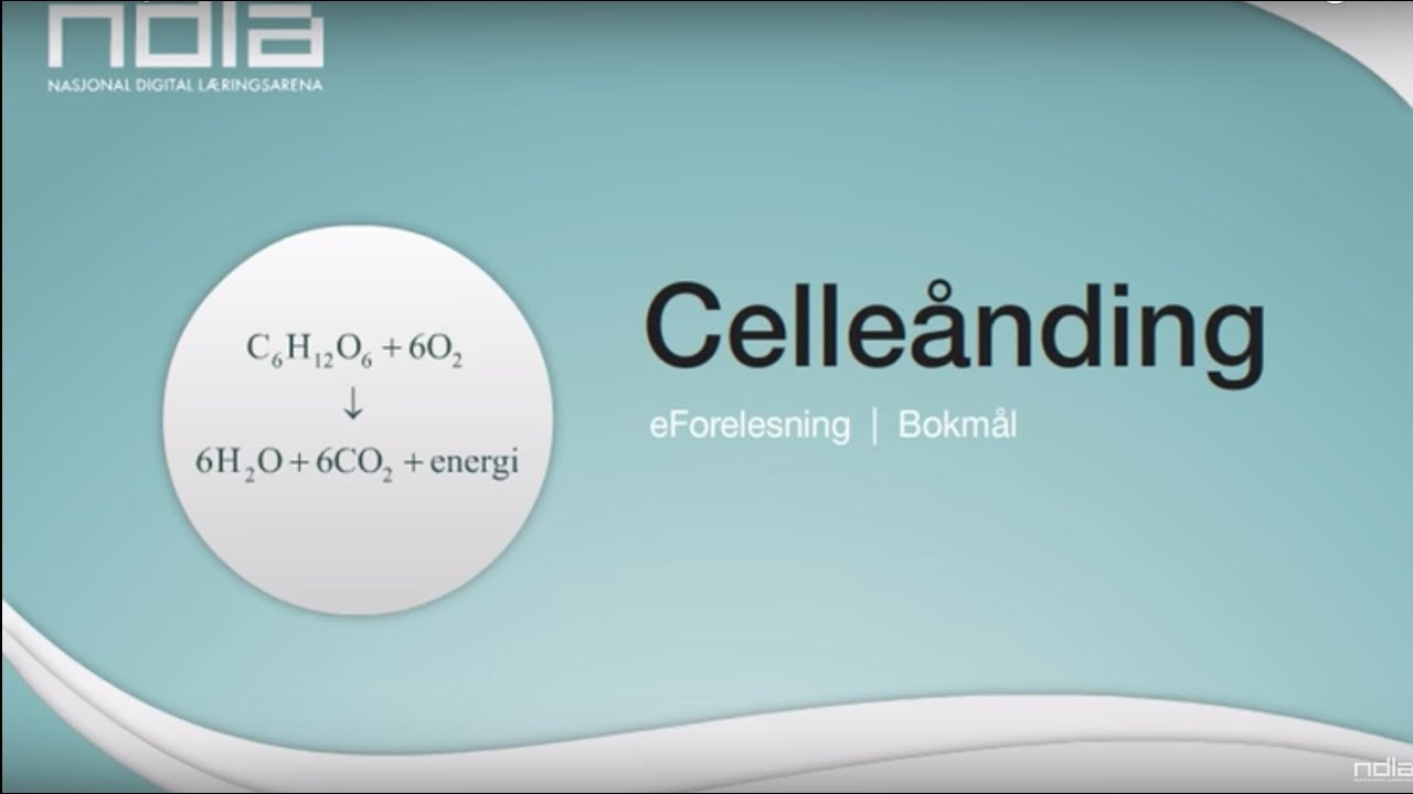 Celleånding - YouTube