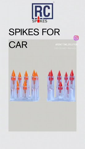 RC Car Protection Spikes | How to protect your car from street dogs and ...